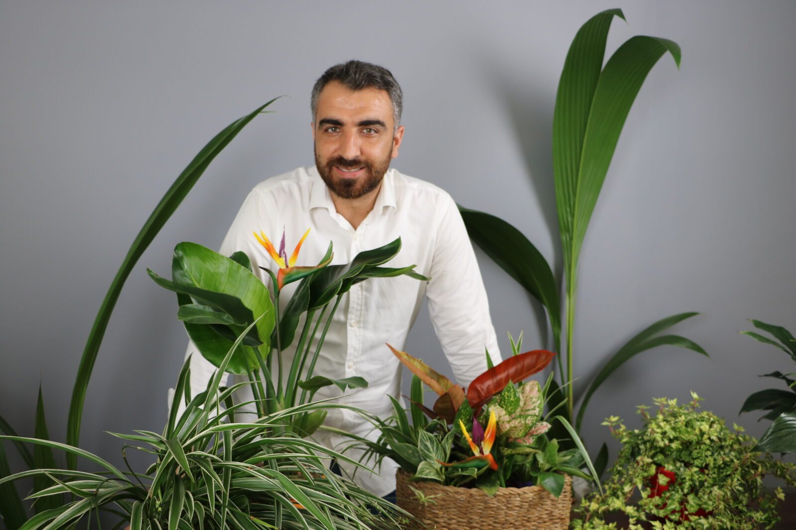 İletişim – Gardenkoala
